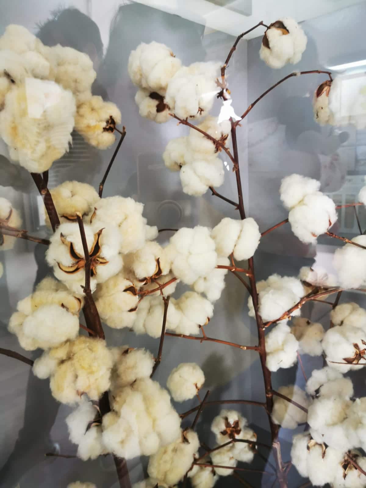 Uzbekistan | Road Trip prin deșert la Marea Aral - Părinți Călători